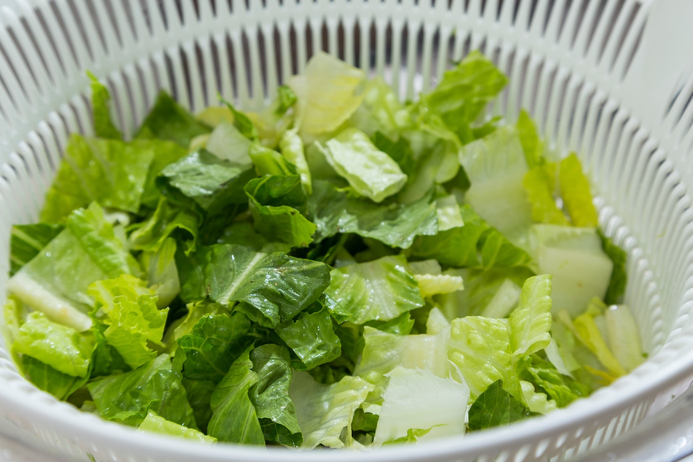 Lettuce Reimagine Our Salads: A Journey Through the Leaves | That Salad ...